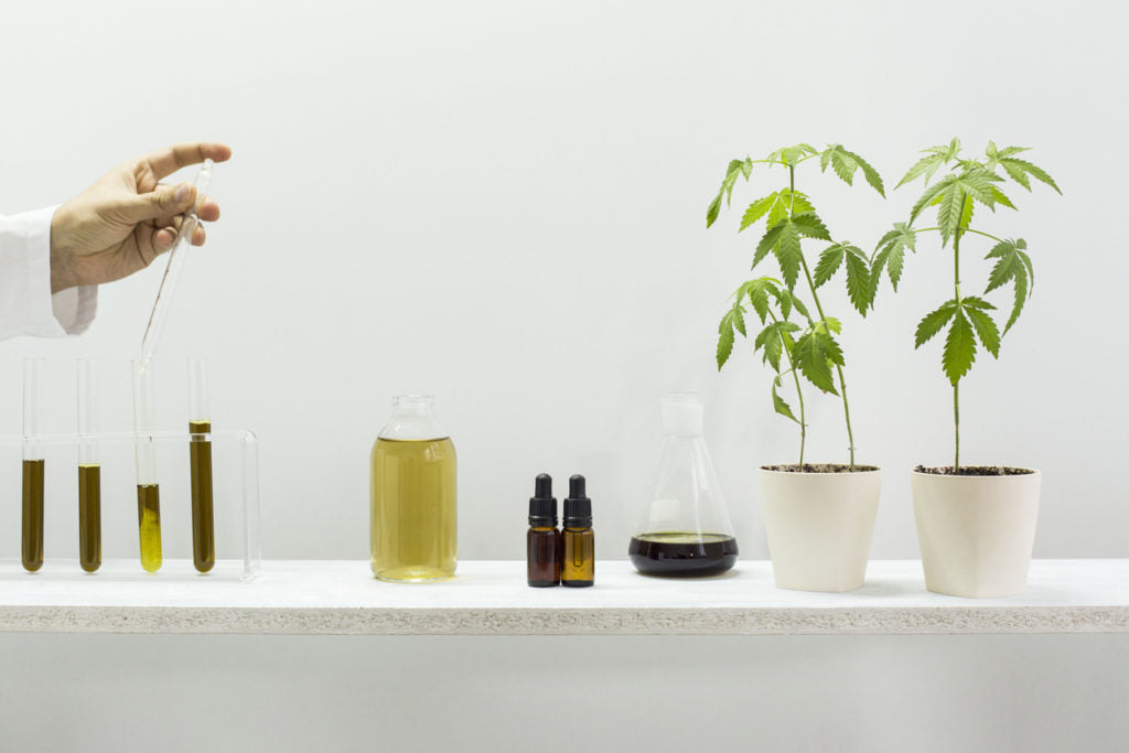 What is a COA? Understanding Your CBD Products – Green Valley Nutrition